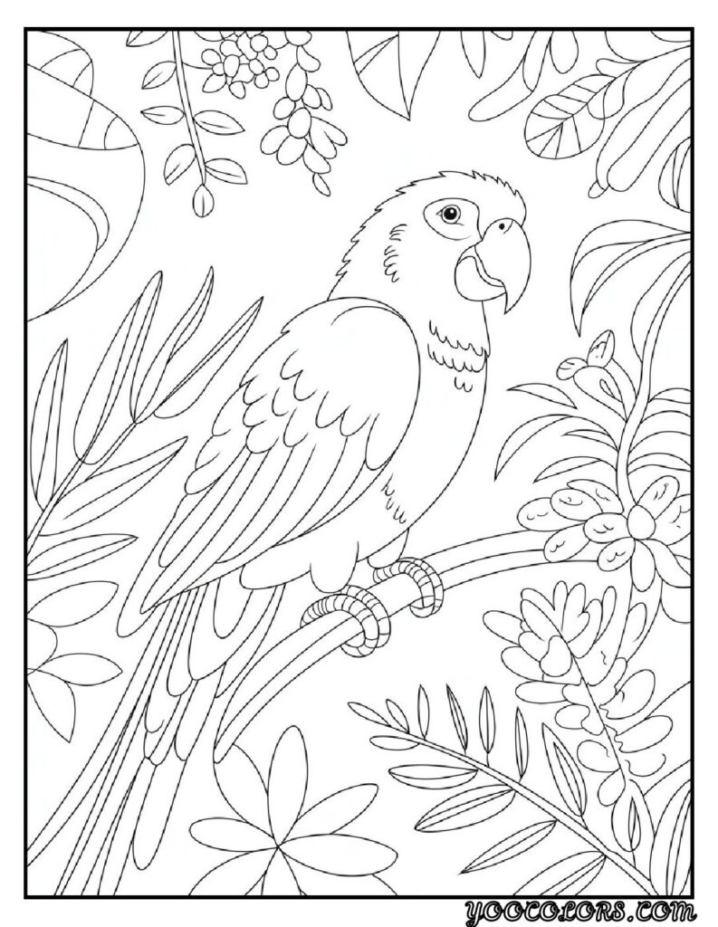 20 Birds Coloring Pages - Free Printable PDF